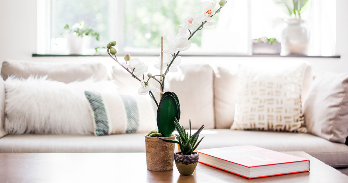 Contact Us - Get in Touch with BWdB